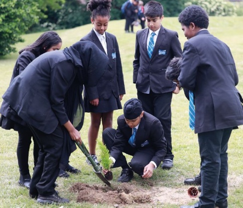 Rosedale College - Tree Planting